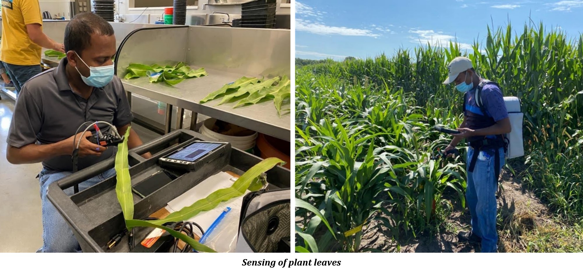 APSS Lab – Advanced Plant & Soil Sensing
