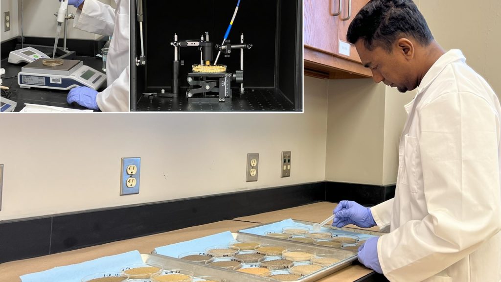 APSS Lab – Advanced Plant & Soil Sensing