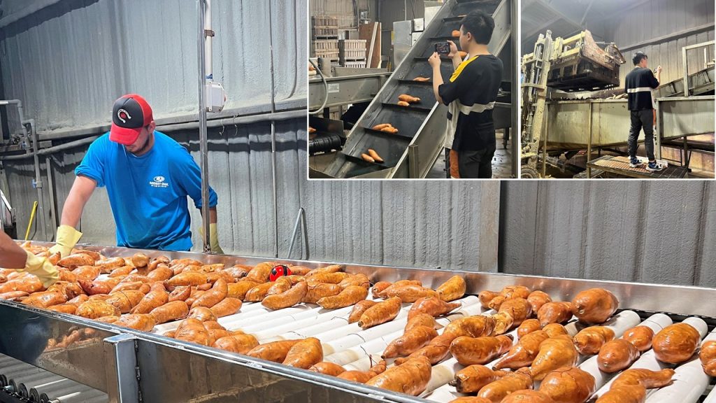 APSS Lab – Advanced Plant & Soil Sensing